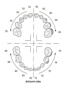 Systém číslování zubů: Klíč k porozumění zubařům | Studio 32